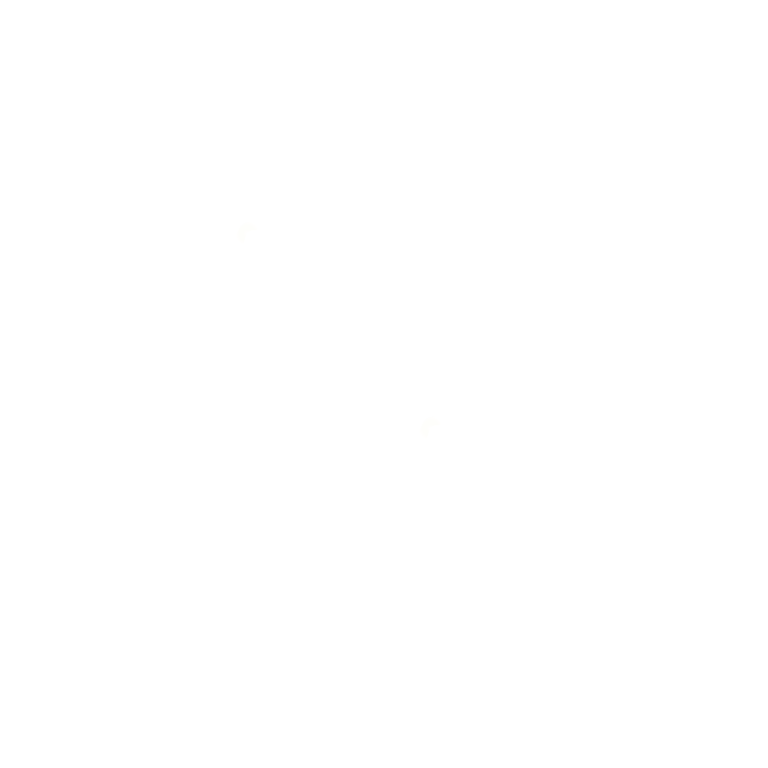 Zamzam Group Iraq